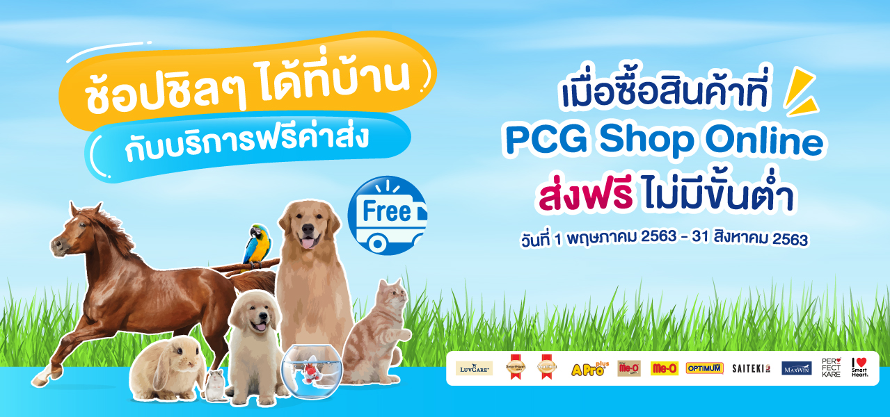 PCG Shop Online • Home