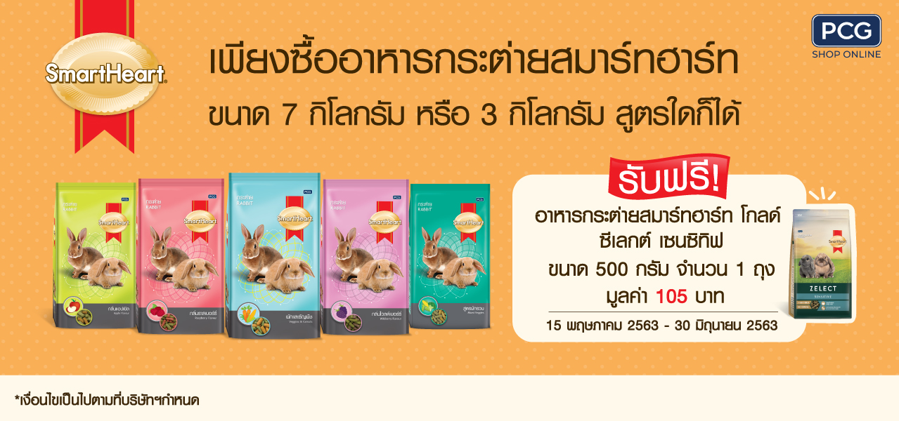 PCG Shop Online • Home