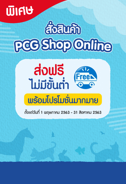PCG Shop Online • Home