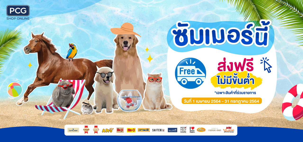 PCG Shop Online • Home