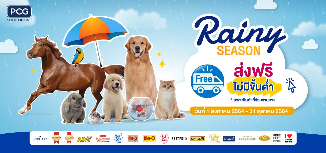 PCG Shop Online • Home